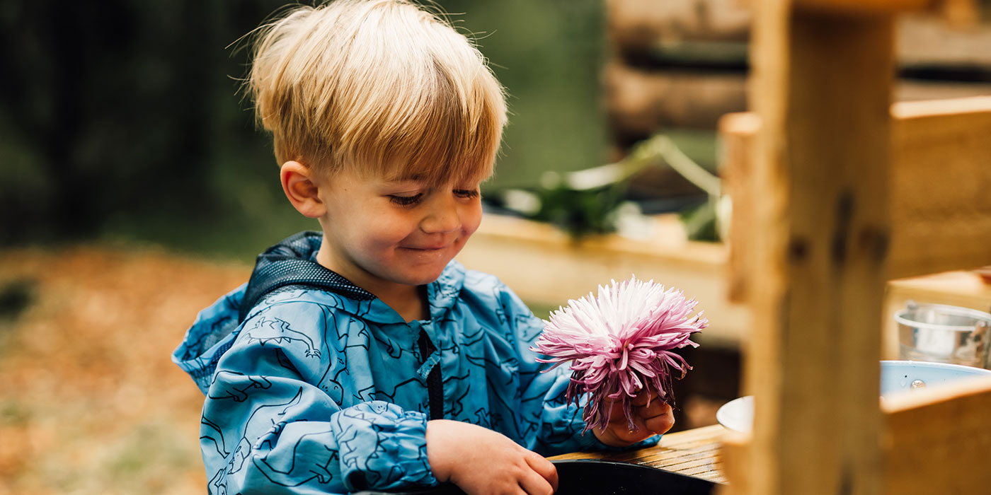 Cattows Farm - Fresh produce, team room, family activities