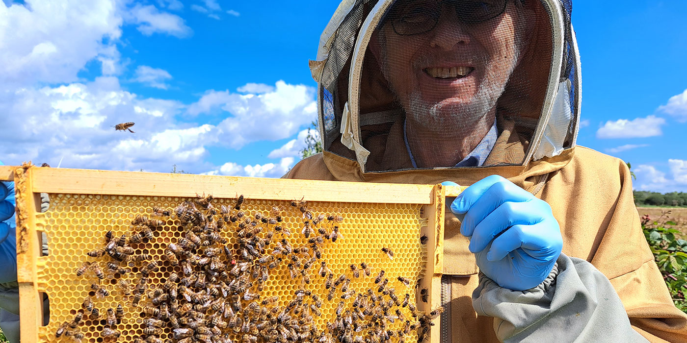 Also at Cattows Farm - Cattows Farm