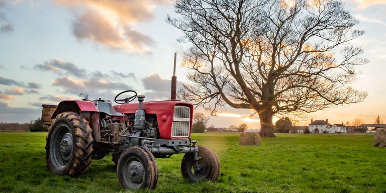 All Year Round - Cattows Farm