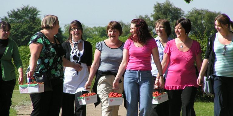 Farm Shop & Pick Your Own - Cattows Farm