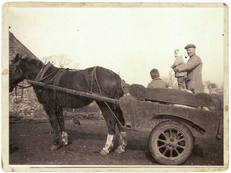 The Farm & More - Cattows Farm